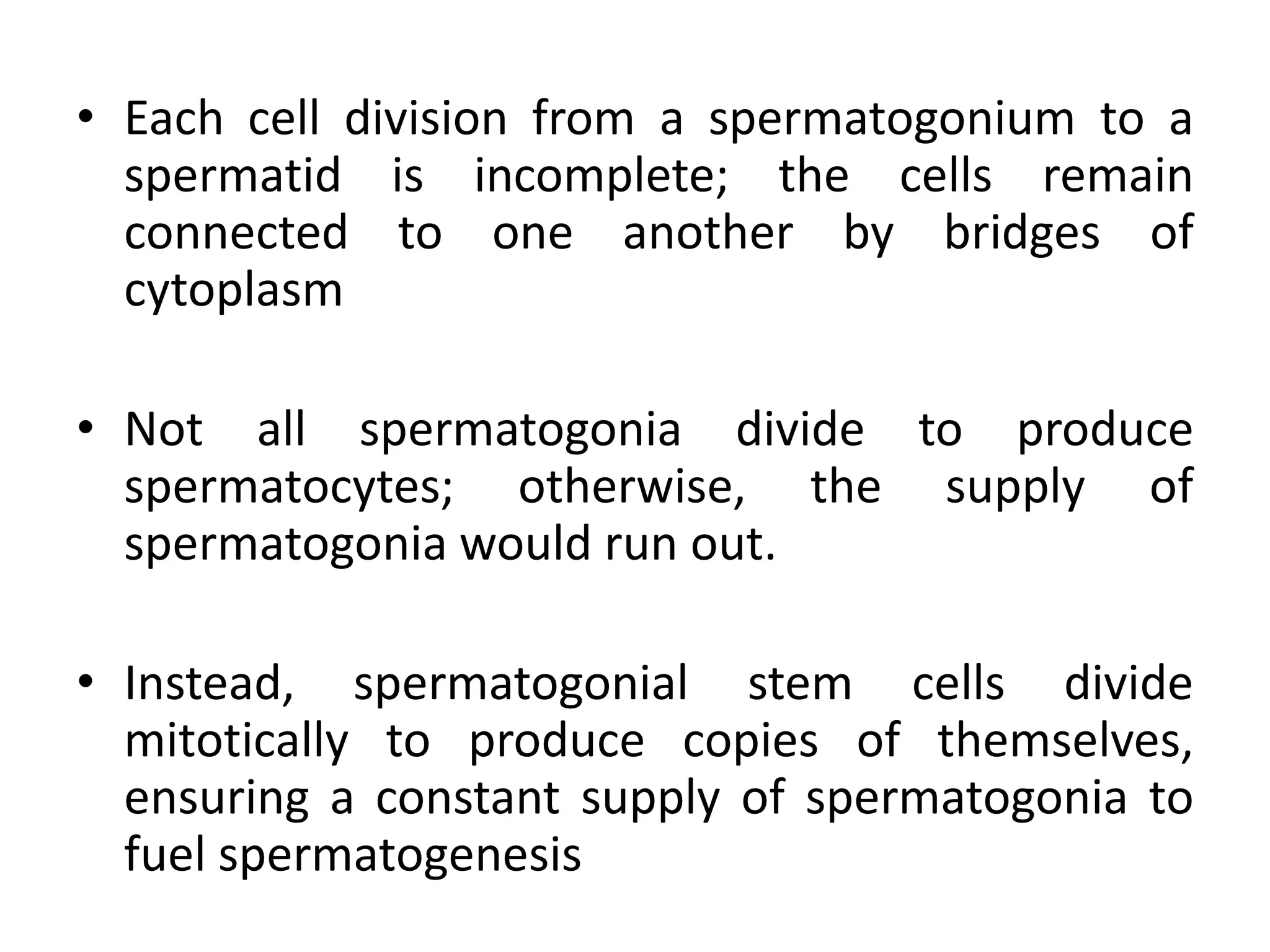 Spermatogenesis | PPTX