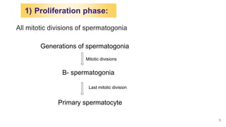 SPERMATOGENESIS.pptx