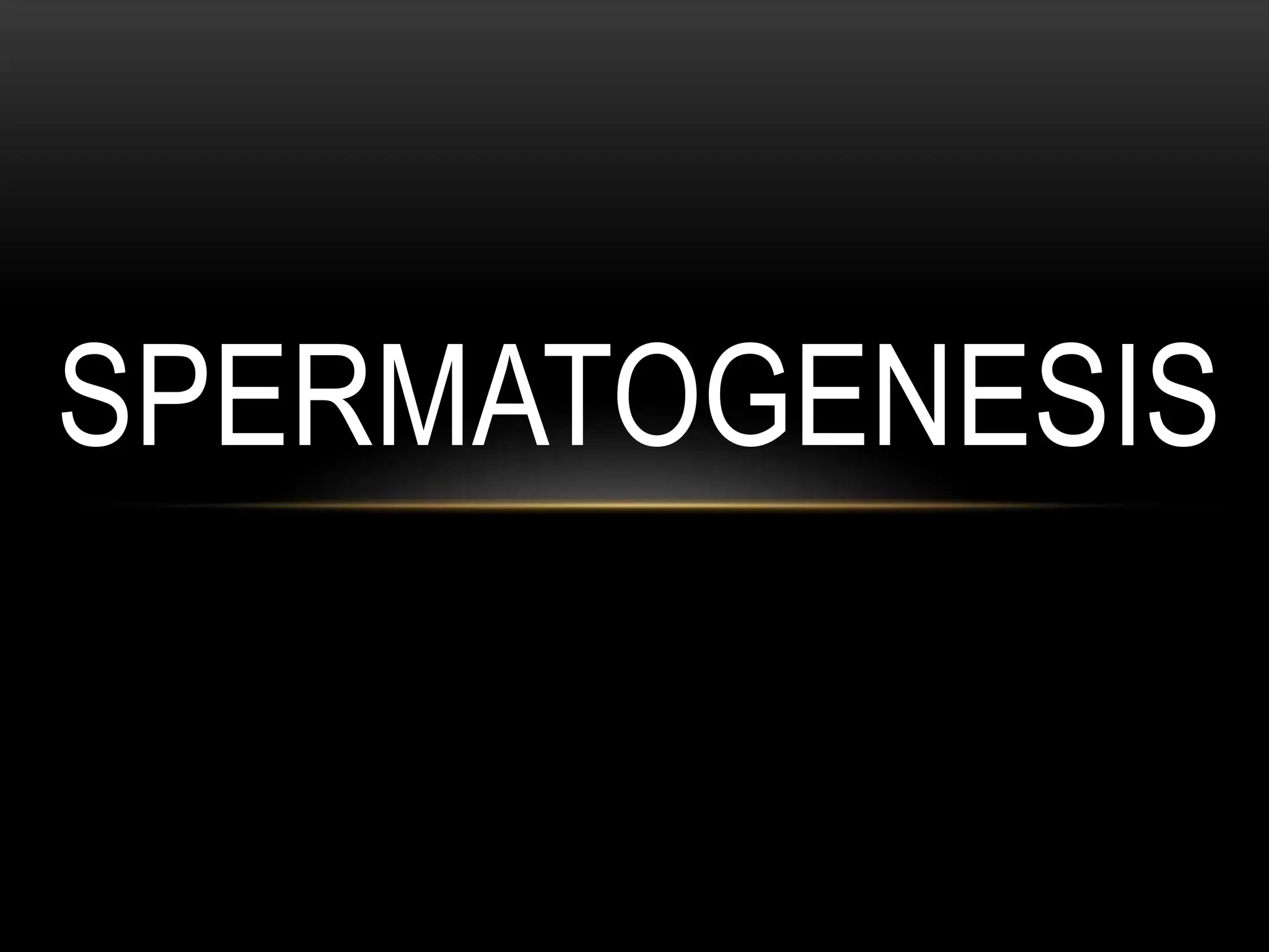 Spermatogenesis ppt presentation documentary | PPTX