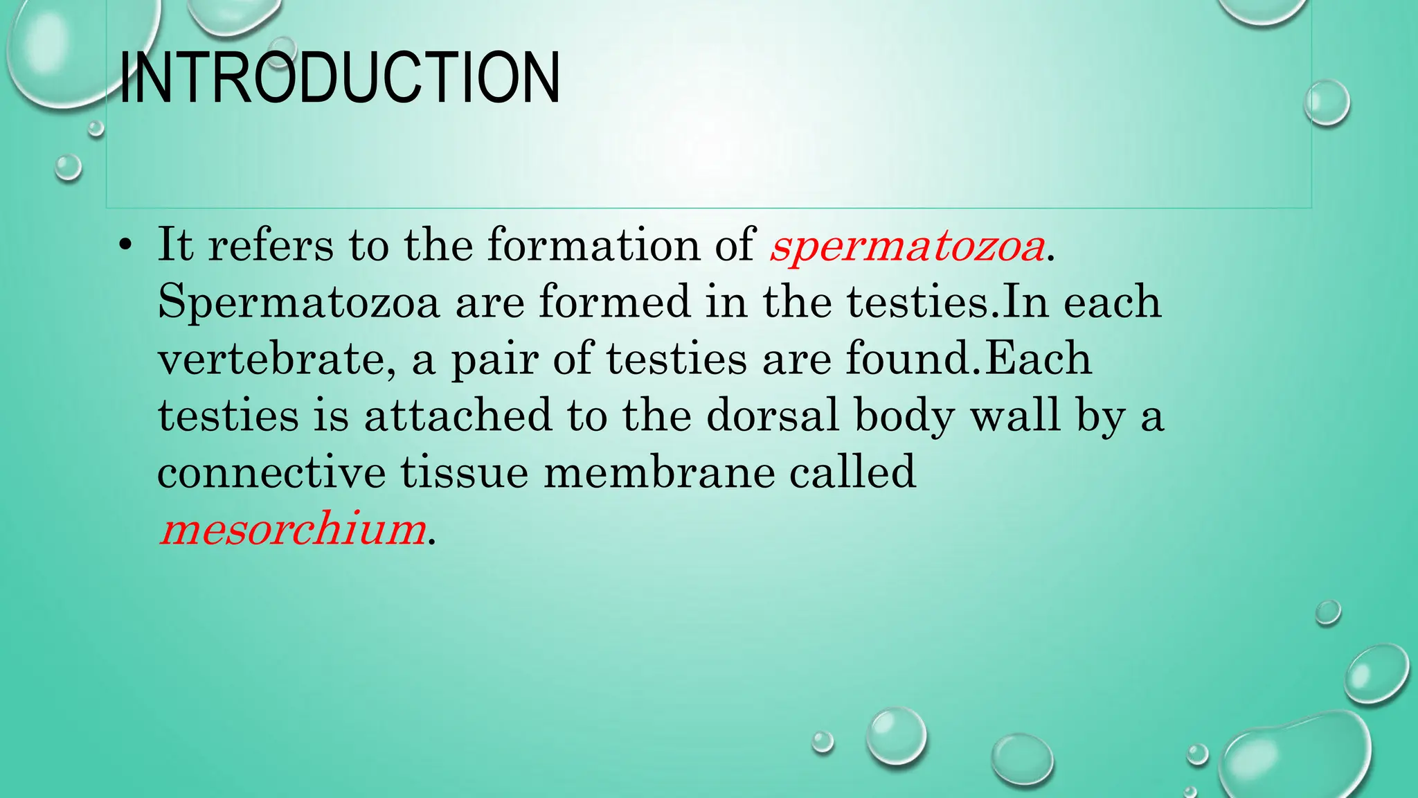 Process of SPERMATOGENESIS and oogenesis.pptx