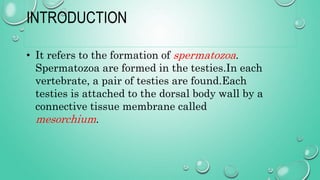 Process of SPERMATOGENESIS and oogenesis.pptx