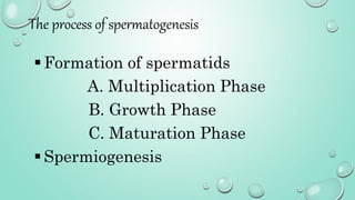 Process of SPERMATOGENESIS and oogenesis.pptx