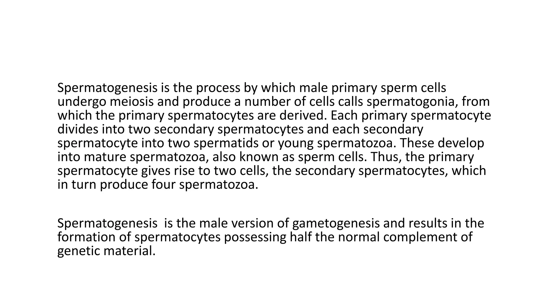 Steps of spermatogenesis powerpoint presentation | PPTX | Infertility ...