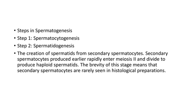 Steps of spermatogenesis powerpoint presentation | PPTX | Infertility ...