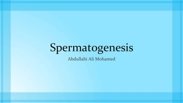 Spermatogenesis-Abdullahi Ali.pptx