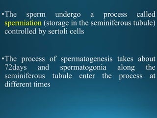 SPERMATOGENESIS - PPT (1).pptx