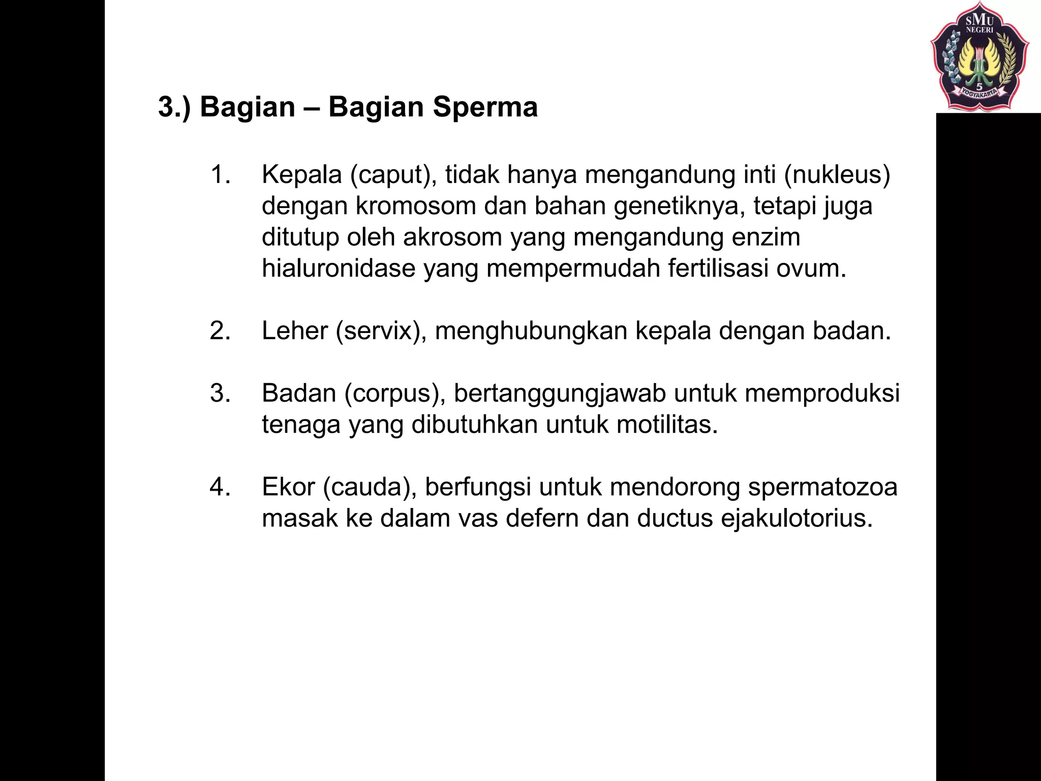 Spermatogenesis | PPT