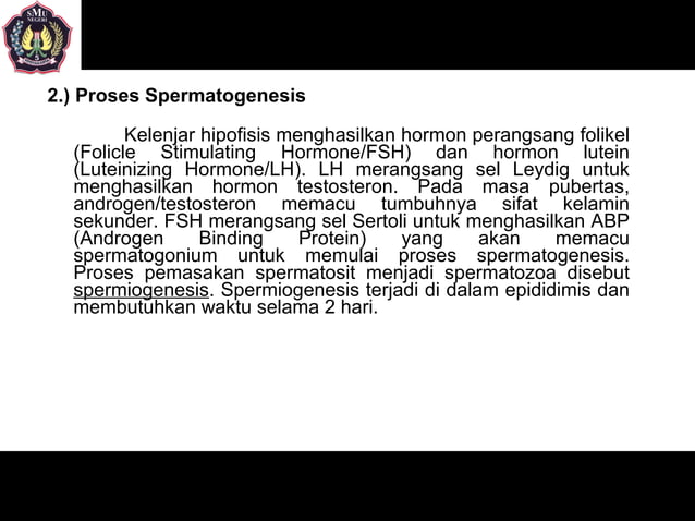 Spermatogenesis | PPT