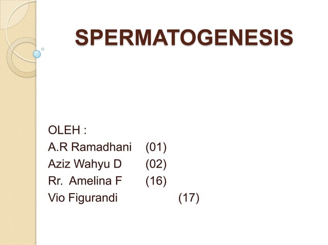 Spermatogenesis (2) | PPT