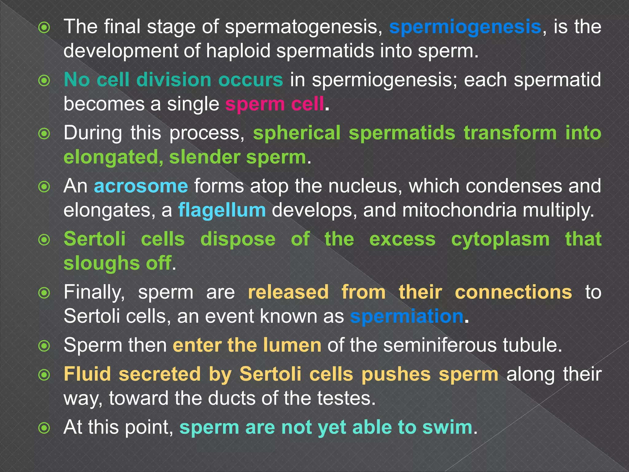 Spermatogenesis and oogenesis | PPTX