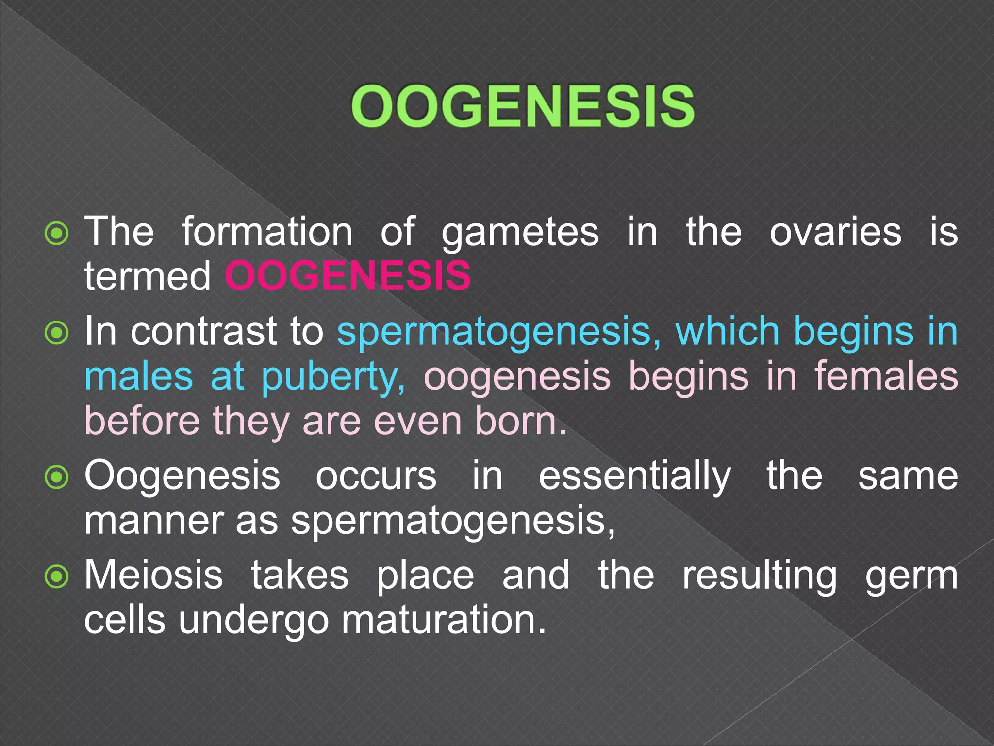 Spermatogenesis and oogenesis | PPTX