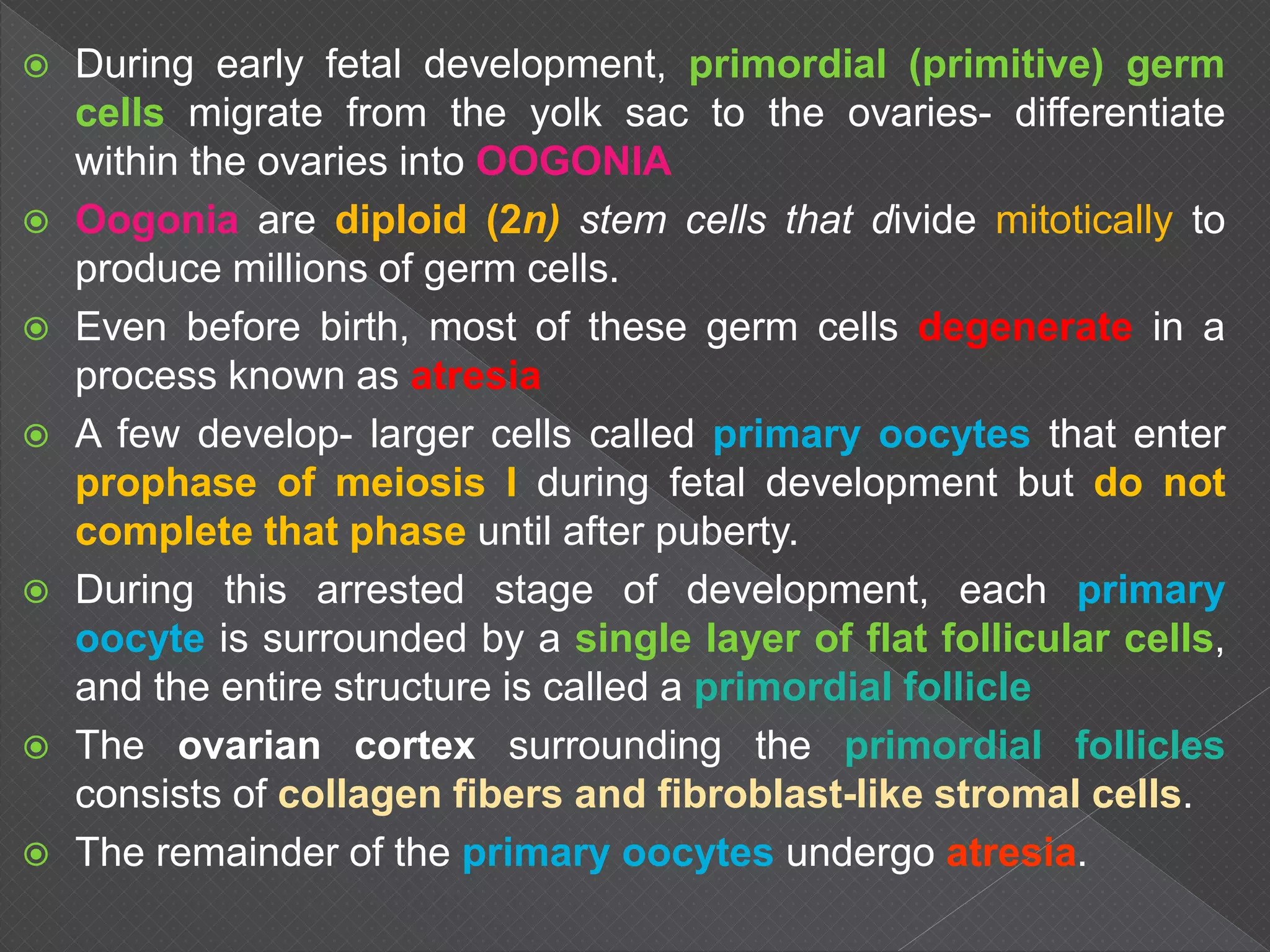 Spermatogenesis and oogenesis | PPTX