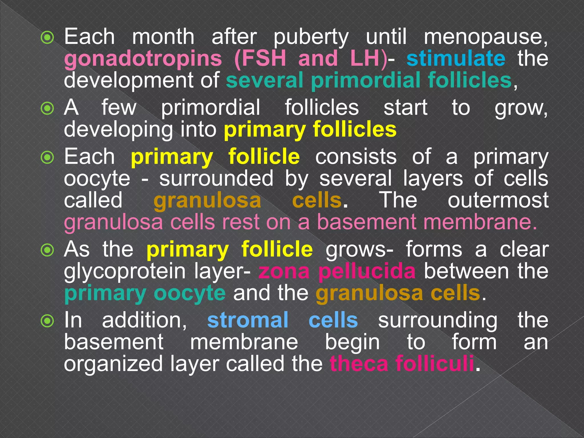 Spermatogenesis and oogenesis | PPTX