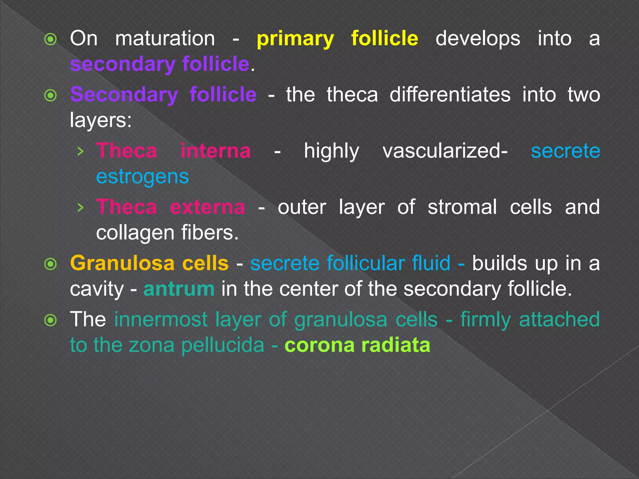 Spermatogenesis and oogenesis | PPTX