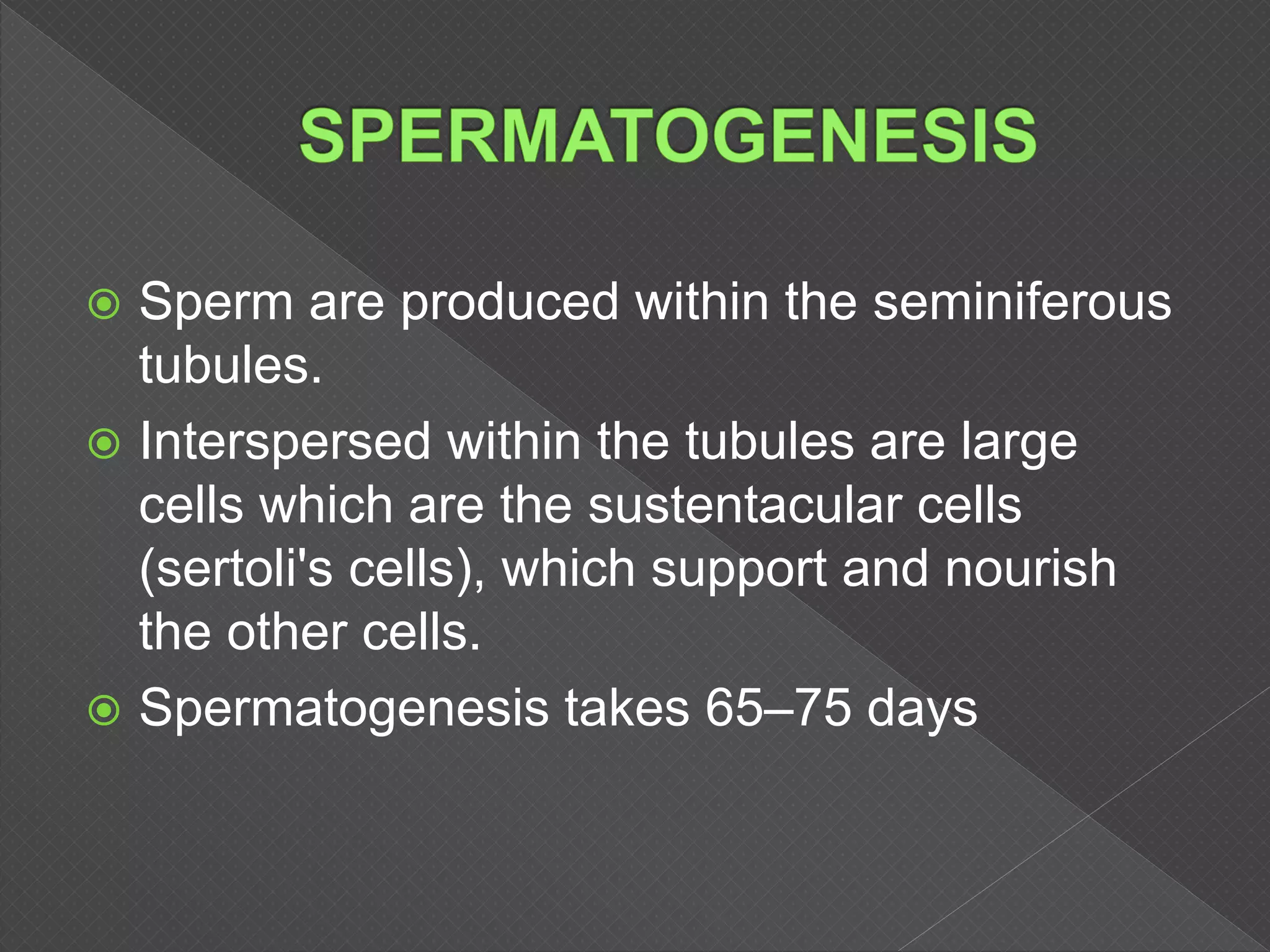 Spermatogenesis and oogenesis | PPTX