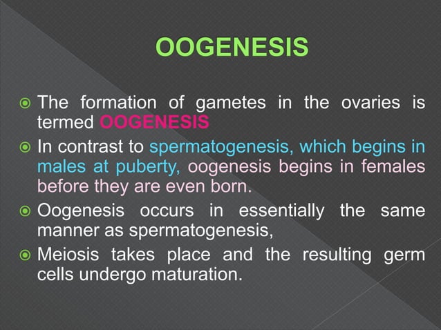Spermatogenesis and oogenesis | PPTX