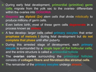 Spermatogenesis and oogenesis | PPTX