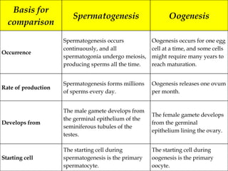 spermatogenesisandoogenesis-210304040534.pdf