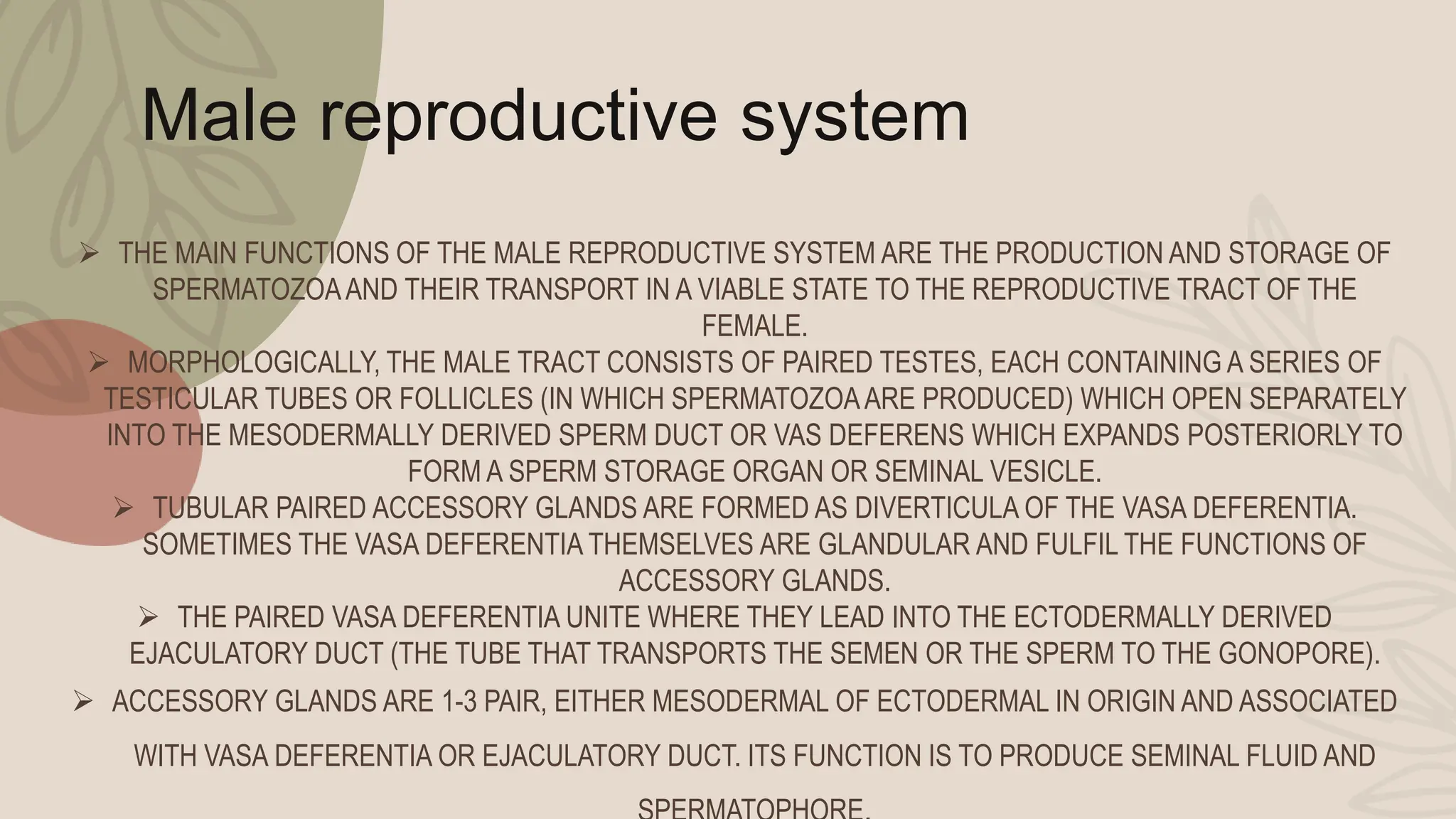 SPERMATOGENESIS AND OOGENESIS IN INSECTS | PPTX