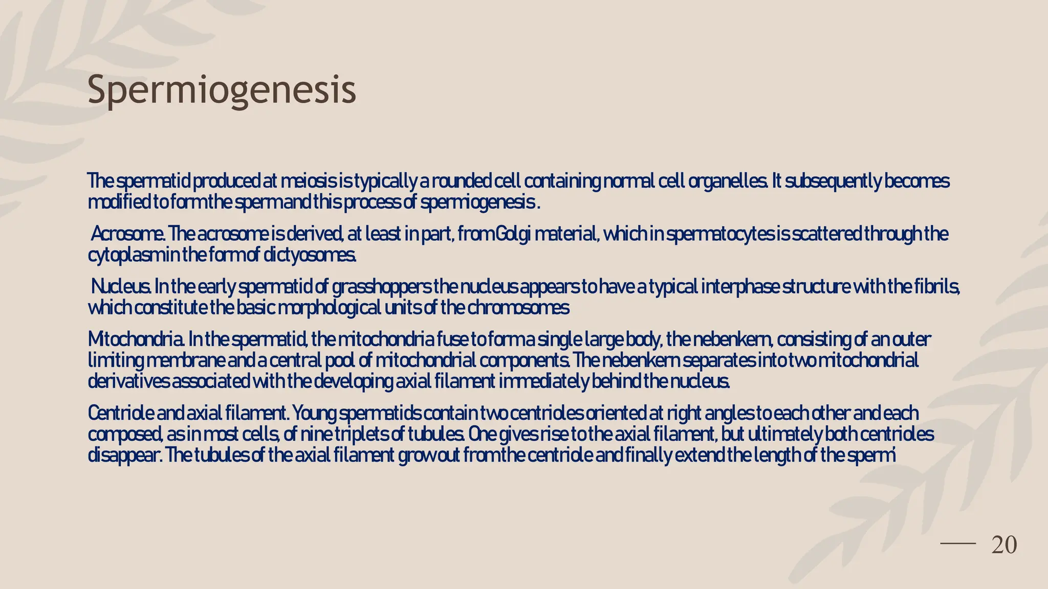 SPERMATOGENESIS AND OOGENESIS IN INSECTS | PPTX