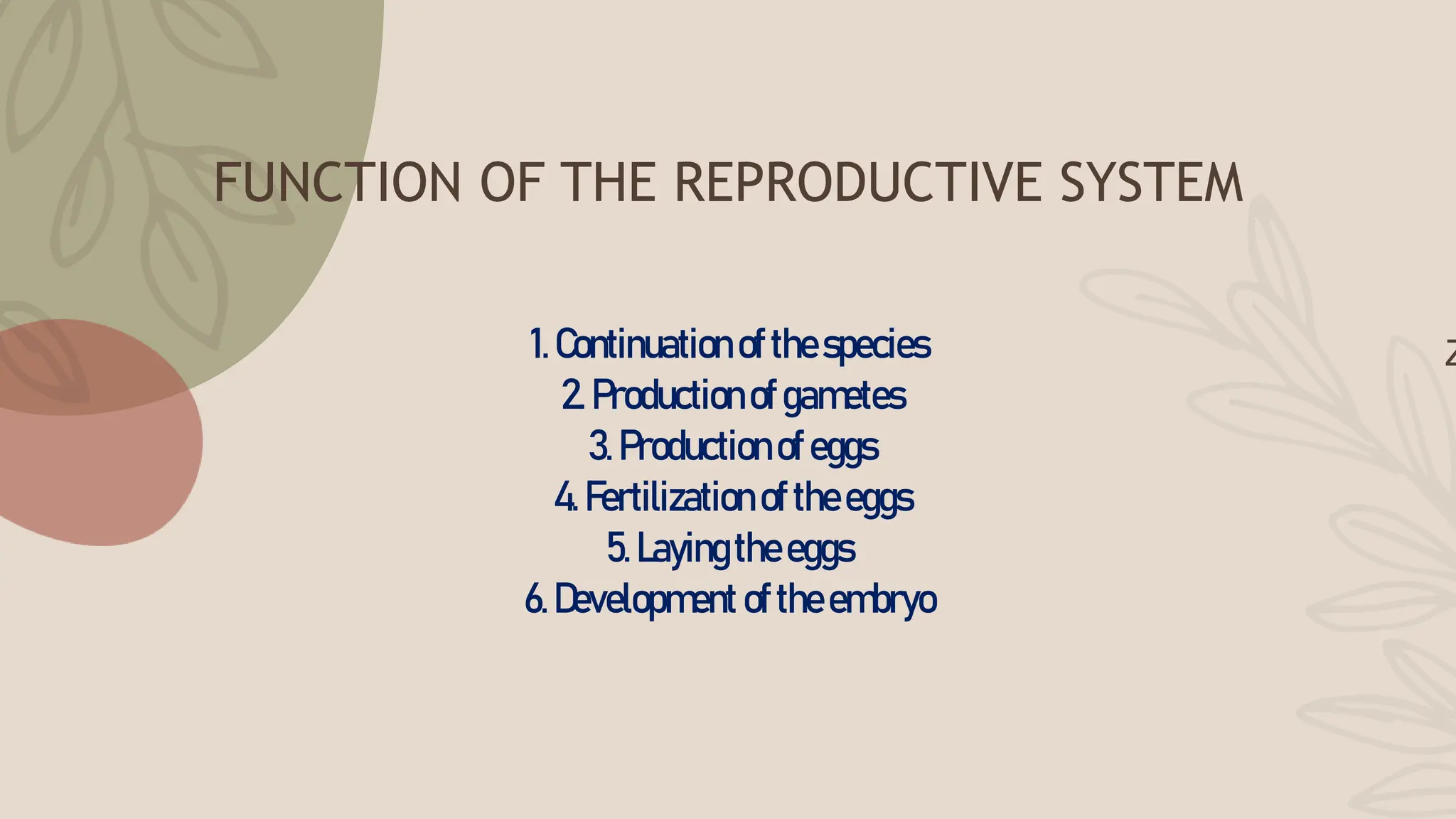 SPERMATOGENESIS AND OOGENESIS IN INSECTS | PPTX