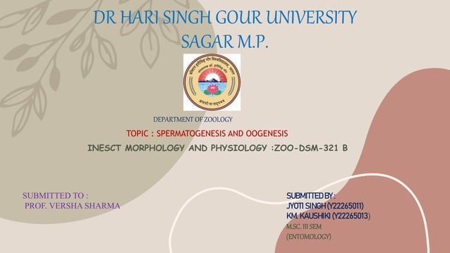 SPERMATOGENESIS AND OOGENESIS IN INSECTS | PPTX