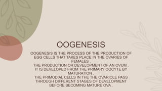 SPERMATOGENESIS AND OOGENESIS IN INSECTS | PPTX