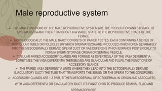 SPERMATOGENESIS AND OOGENESIS IN INSECTS | PPTX