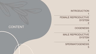 SPERMATOGENESIS AND OOGENESIS IN INSECTS | PPTX