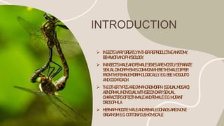 SPERMATOGENESIS AND OOGENESIS IN INSECTS | PPTX