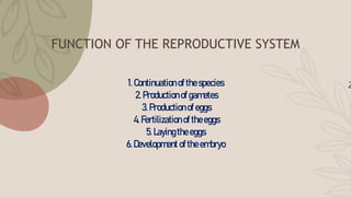 SPERMATOGENESIS AND OOGENESIS IN INSECTS | PPTX