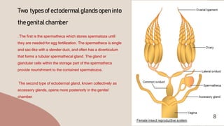 SPERMATOGENESIS AND OOGENESIS IN INSECTS | PPTX