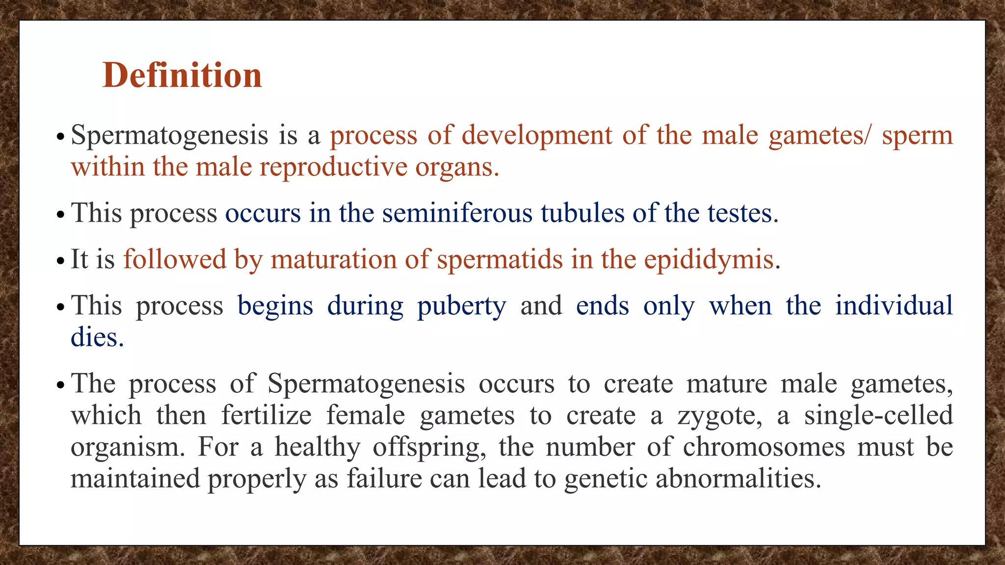 Spermatogenesis Anju.pptx