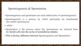 Spermatogenesis Anju.pptx