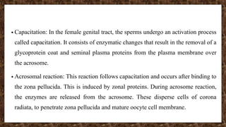 Spermatogenesis Anju.pptx