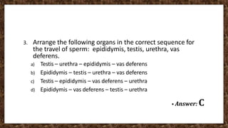 Spermatogenesis Anju.pptx