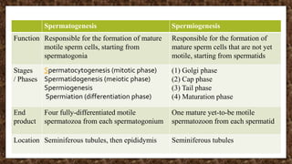 Spermatogenesis Anju.pptx