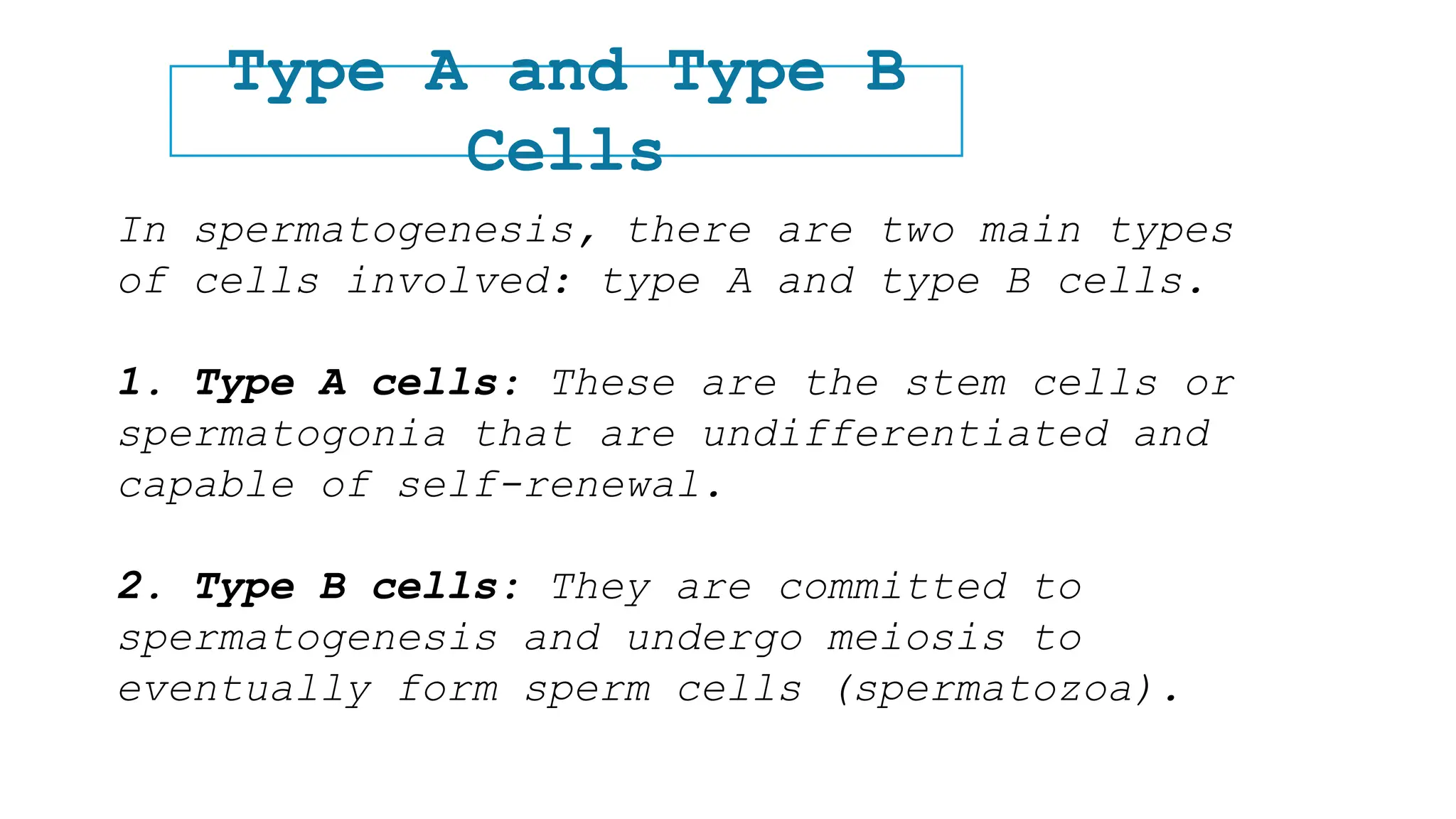 Spermatogenesis ___ by Ashish Verma 1.pptx