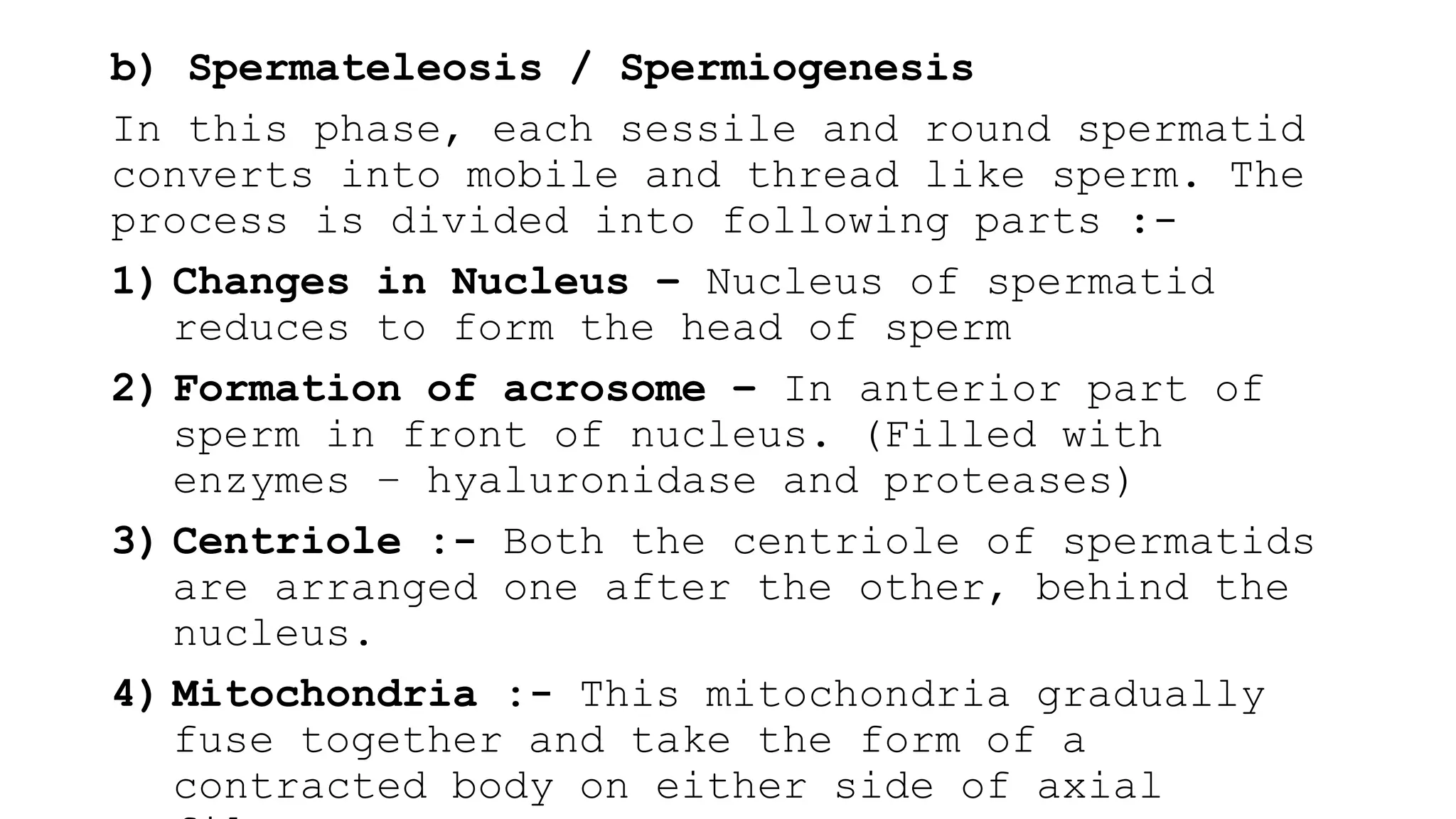 Spermatogenesis ___ by Ashish Verma 1.pptx