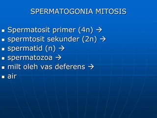 Spermatogenesis fish 07 | PPT