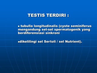 Spermatogenesis fish 07 | PPT