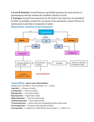 Spermatogenesis Hormones