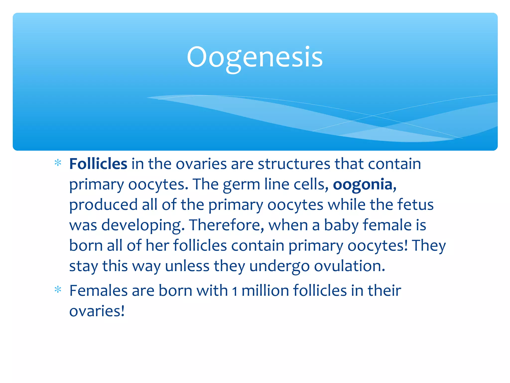 Spermatogenesis vs. oogenesis_-_germinario | PPT