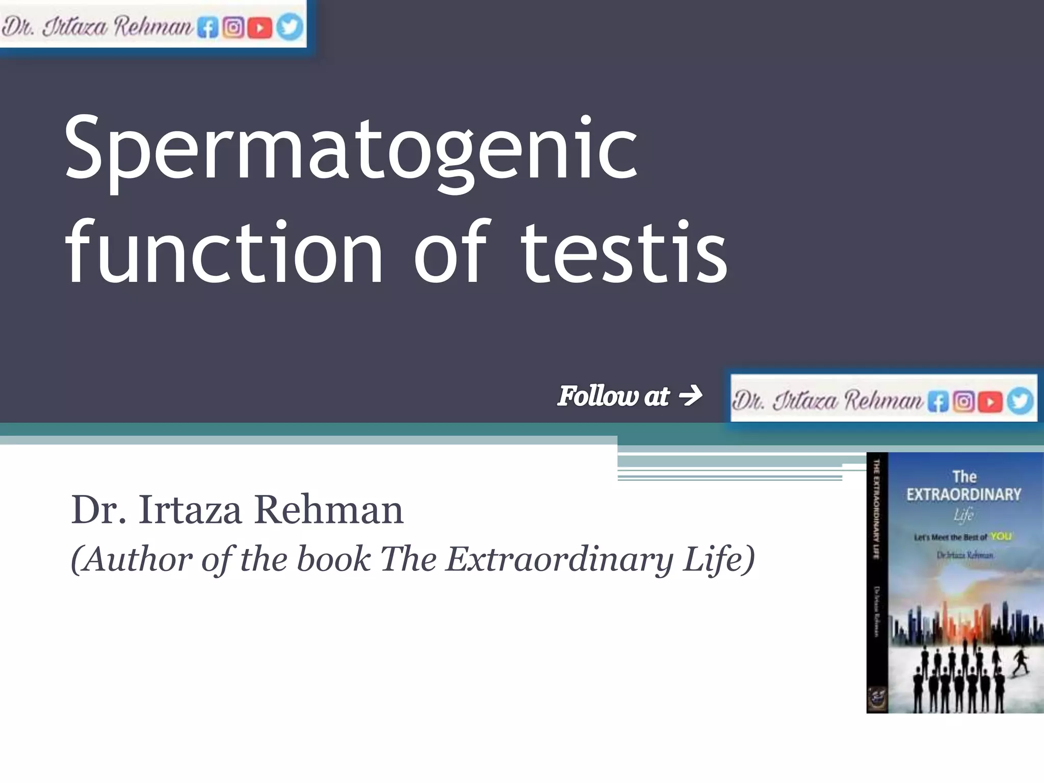 Spermatogenic Function Of Testis Pptx Infertility Reproductive Health