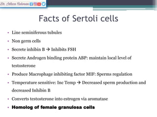 Spermatogenic function of testis.pptx