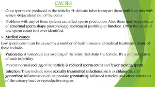 Sperm Count Management | PPTX