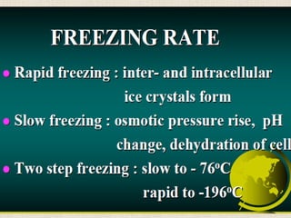 Sperm Cryopreservation of Some Freshwater Fish Species.pptx