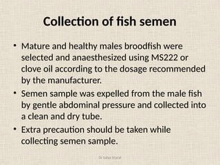 Sperm Cryopreservation of Some Freshwater Fish Species.pptx
