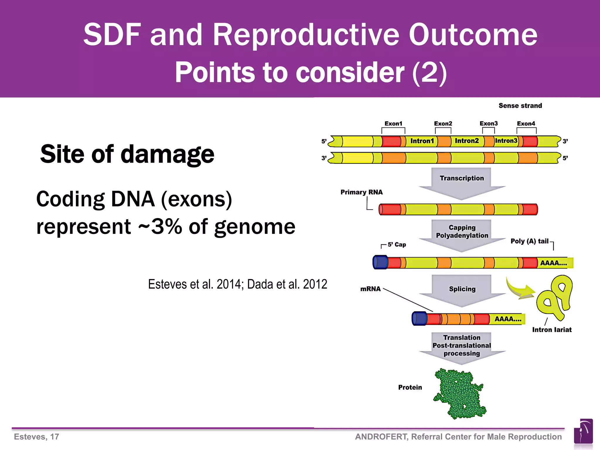 Sperm DNA Fragmentation from the Male Infertility Specialist's ...