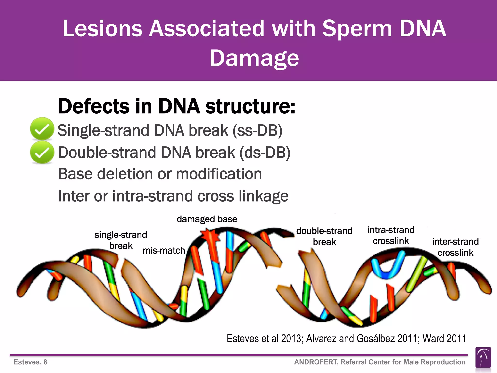 Sperm DNA Fragmentation from the Male Infertility Specialist's ...